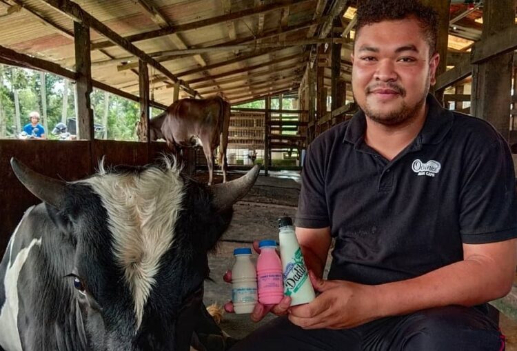 Pemuda urus 30 ekor lembu tenusu - Kosmo Digital