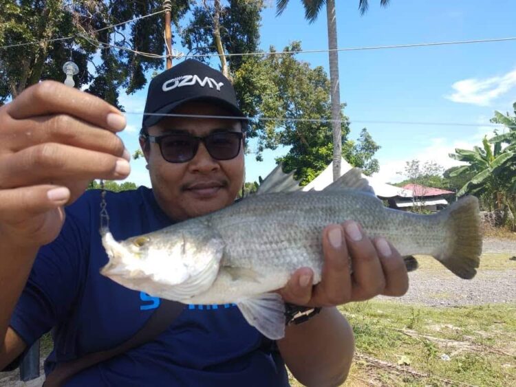 Kepuasan selepas dapat menjinakkan siakap putih - Kosmo Digital