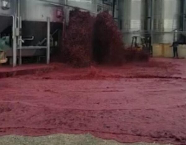 Banjir wain merah di Sepanyol - Kosmo Digital