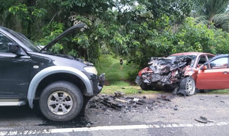 Dua beranak maut elak ular sawa - Kosmo Digital