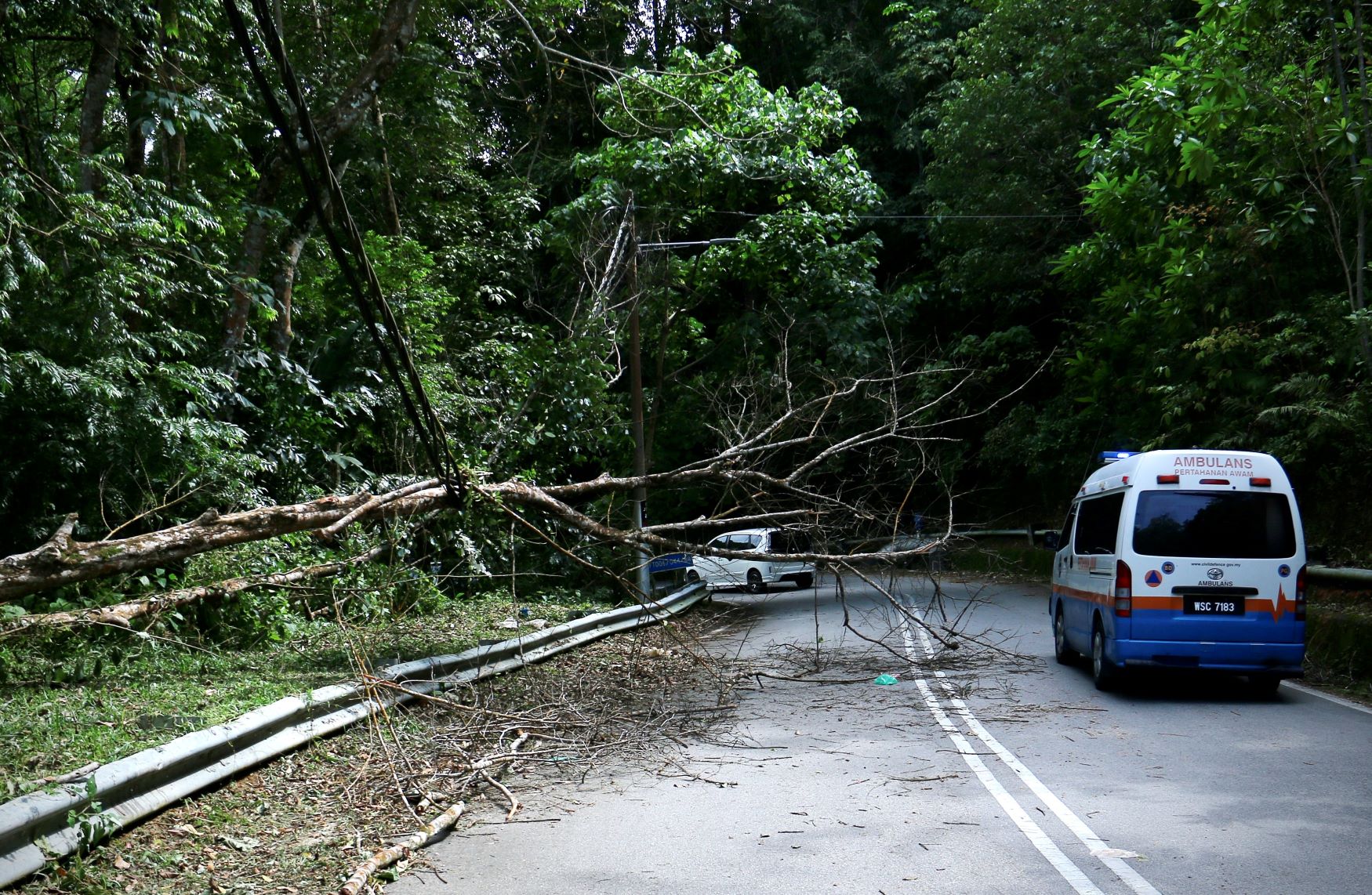 Kelibat Joki Timba muncul waktu dinihari - Kosmo Digital
