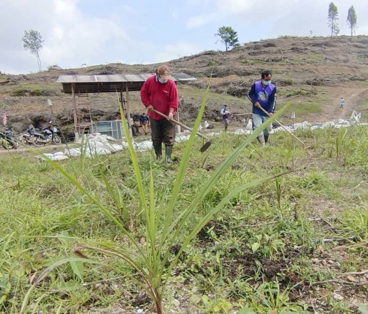 Wujud padang ragut, selesai masalah haiwan berkeliaran - Kosmo Digital