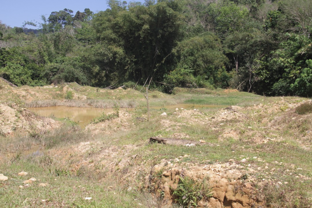 ‘Tanah emas’ tidak akan dirampas - Kosmo Digital