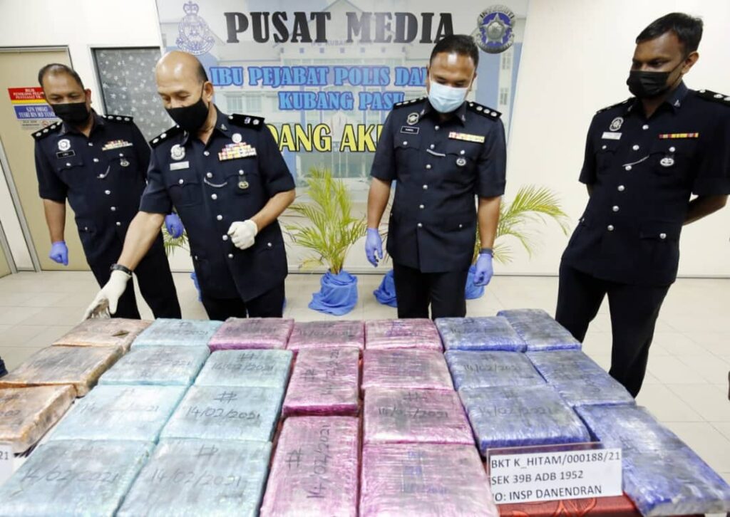 24 ketulan mampat ganja ditemui dalam hutan simpan - Kosmo Digital