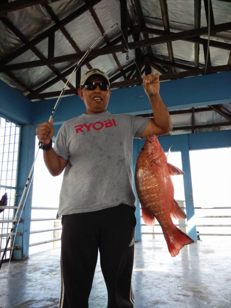 Tawan siakap merah di Pulau Aman - Kosmo Digital