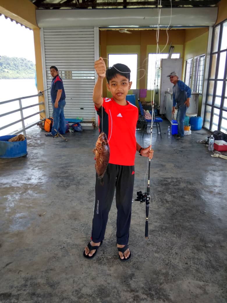 Tawan siakap merah di Pulau Aman - Kosmo Digital