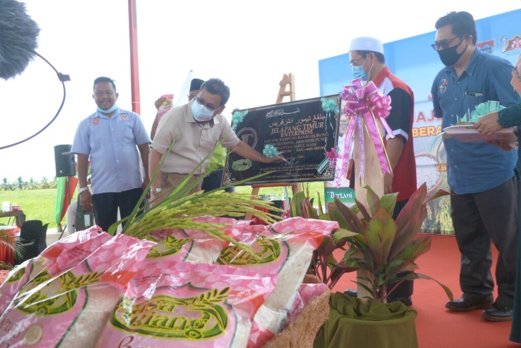 Beras wangi Kelantan mampu tandingi beras wangi Siam - Kosmo Digital