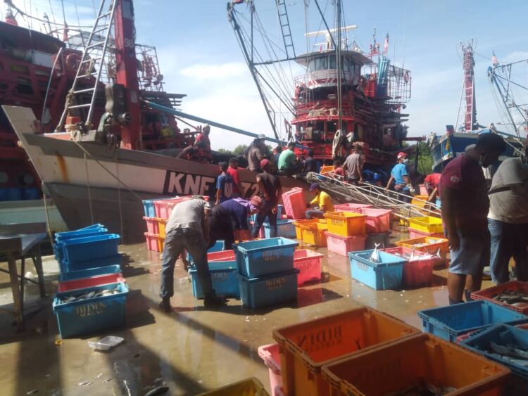 Jumlah tangkapan hasil laut di Kelantan turun 50 peratus - Kosmo Digital