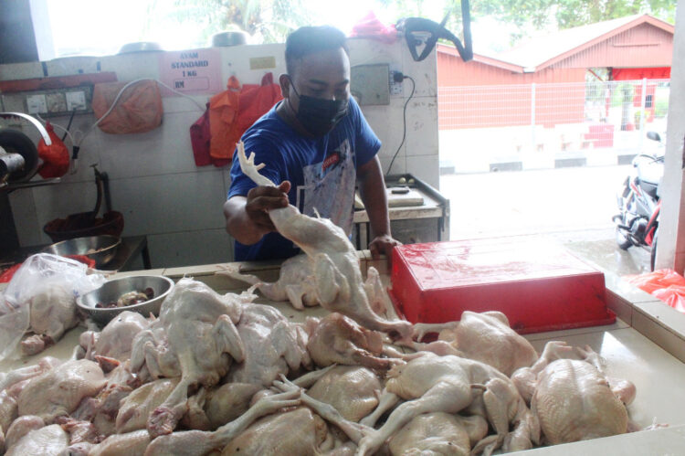 Ayam proses tidak laku dibekukan - Kosmo Digital