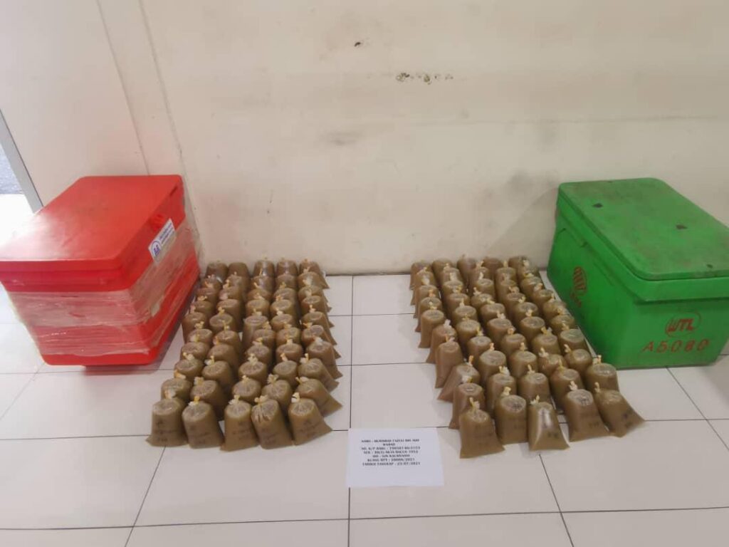 Rumah proses, simpan air ketum diserbu - Kosmo Digital