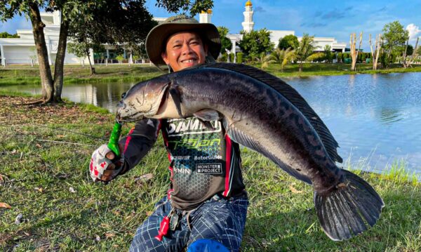 Tukun Perak banyak ikan saiz mega - Kosmo Digital