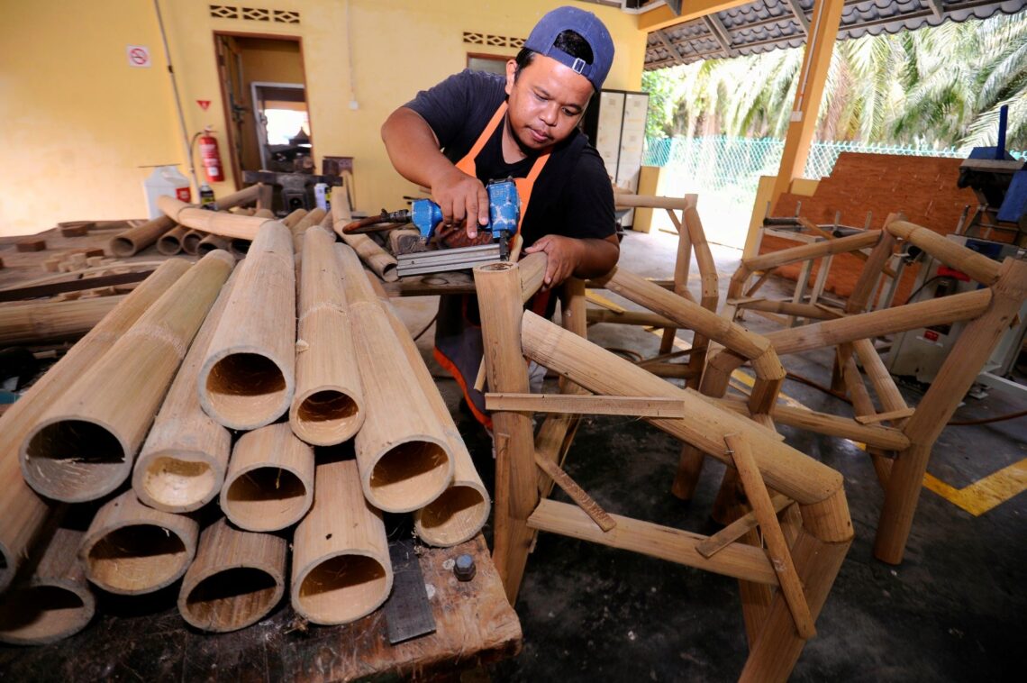 Muhamad Hafizal usahawan muda buluh, rotan - Kosmo Digital