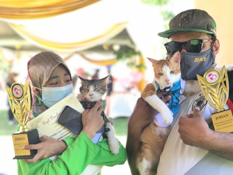 Boy, si kucing cacat yang sangat luar biasa - Kosmo Digital