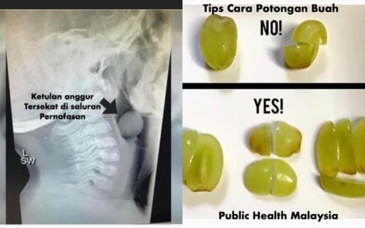 Potong anggur secara memanjang elak anak tercekik - Kosmo Digital
