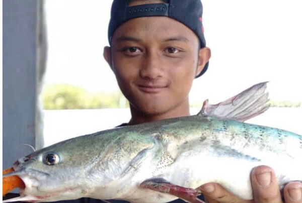 Belukang sungai jadi buruan di musim tengkujuh - Kosmo Digital