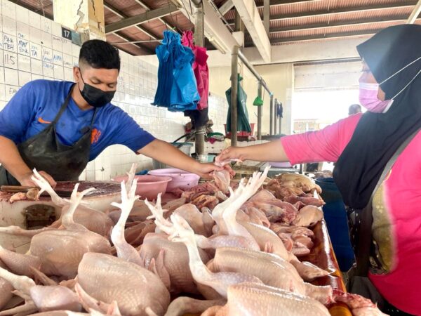 Harga maksimum runcit ayam standard dikurangkan 20 sen - Kosmo Digital