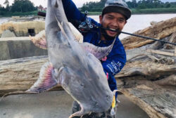 Rezeki kenerak liar yang susah diperoleh - Kosmo Digital