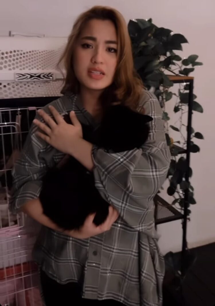 Janna Nick ‘naik hantu’ kucing kesayangan didera, diugut sembelih ...