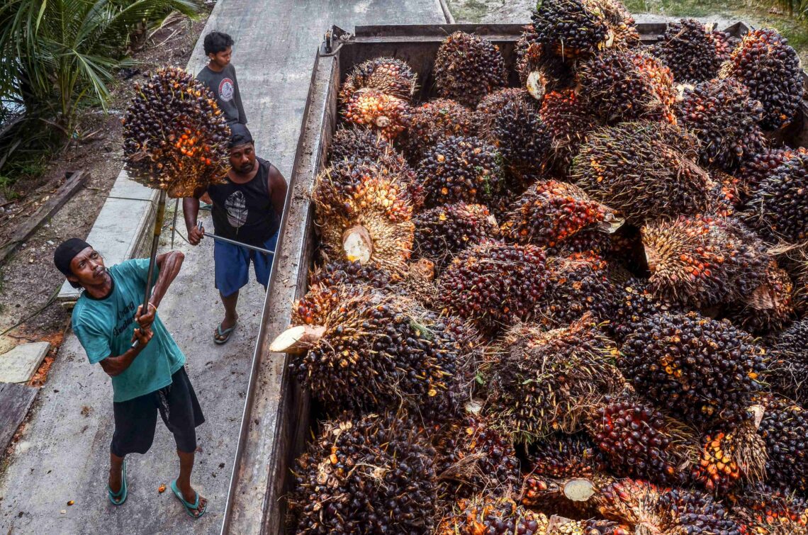 51 negara kekal ‘buka’ pasaran eksport makanan - Kosmo Digital