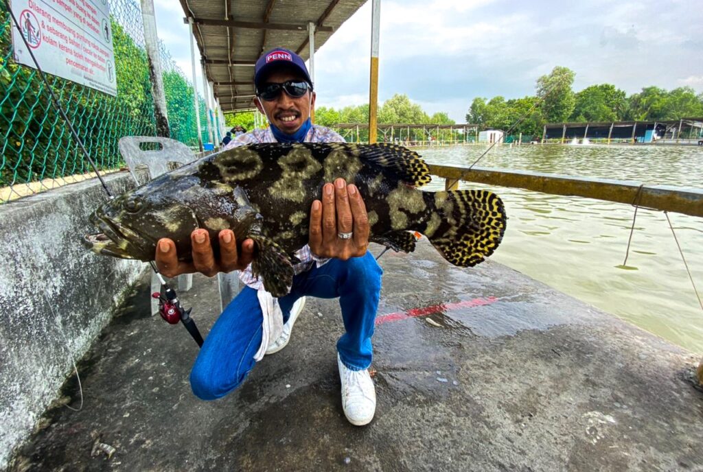 Asakan ikan Delek Fishing Park buat pemancing teruja - Kosmo Digital