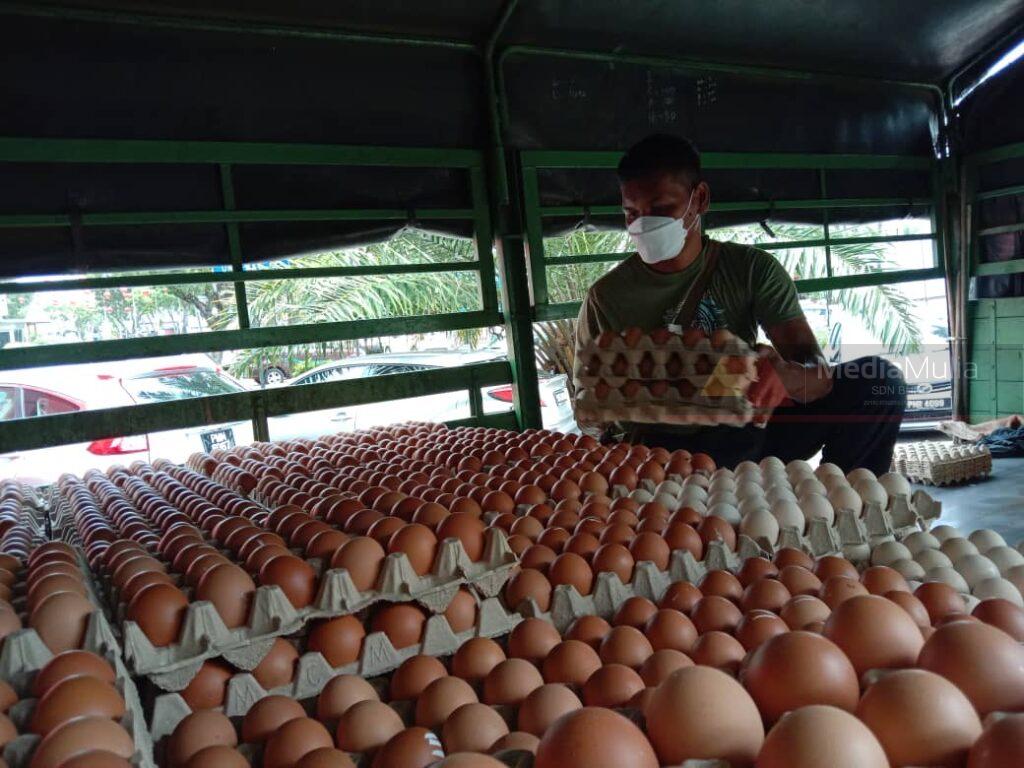 Pulau Pinang kekurangan bekalan telur ayam - Kosmo Digital