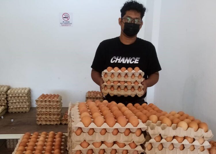 Telur cukup di Selangor tetapi harga lebih mahal - Kosmo Digital