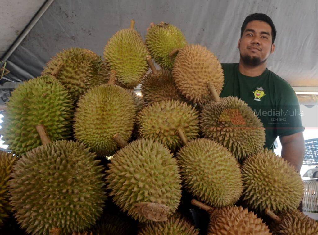 Tupai hitam tandingi musang king - Kosmo Digital