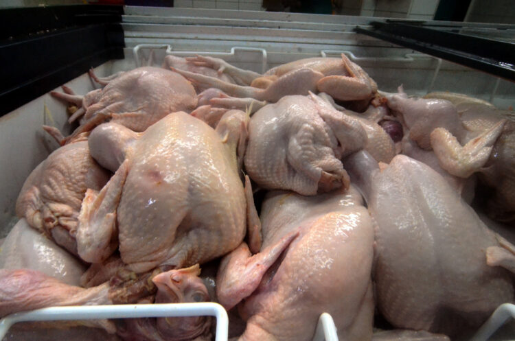 Ayam standard dijual RM11 sekilo di Pulau Pinang - Kosmo Digital