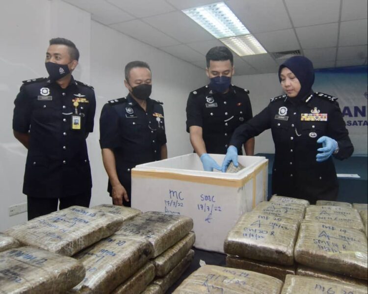 Tak fasih berbahasa Melayu, Arena Lieya perbaiki diri - Kosmo Digital