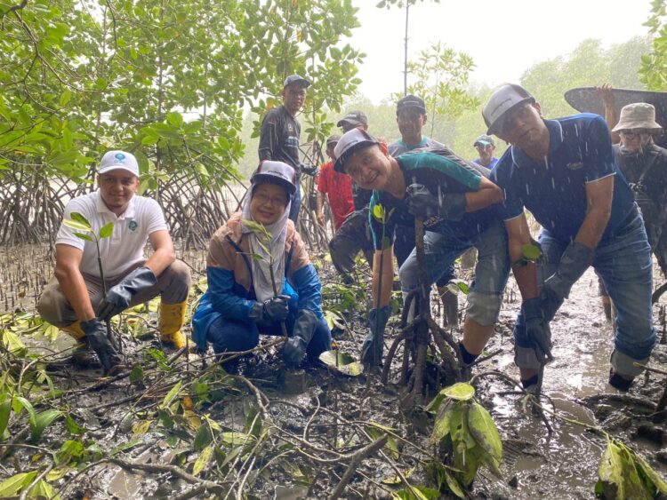 Pulihara bakau Pulau Tanjung Surat - Kosmo Digital