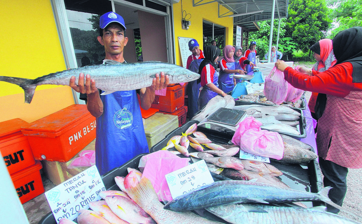 Nasi dagang 'selamat', ikan aya hitam masih banyak di laut - Kosmo Digital