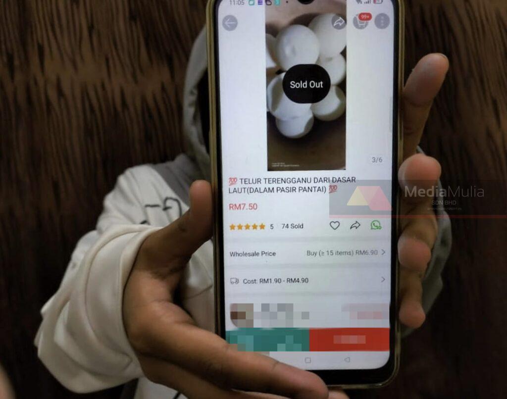 Jual telur penyu secara online - Kosmo Digital