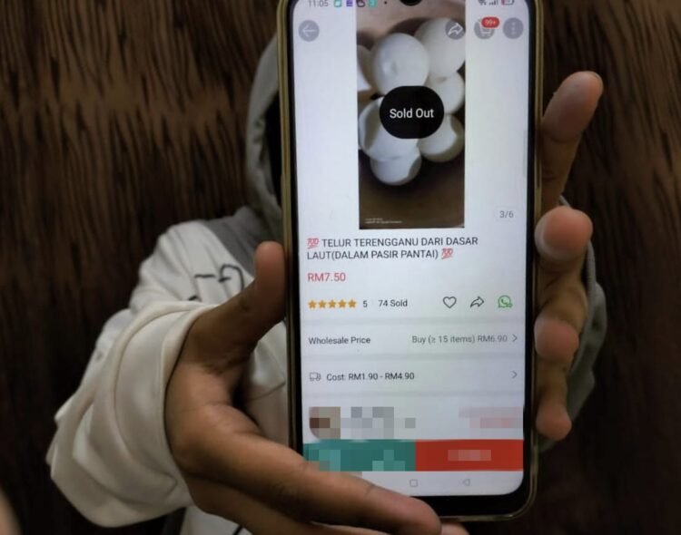 Jual telur penyu secara online - Kosmo Digital