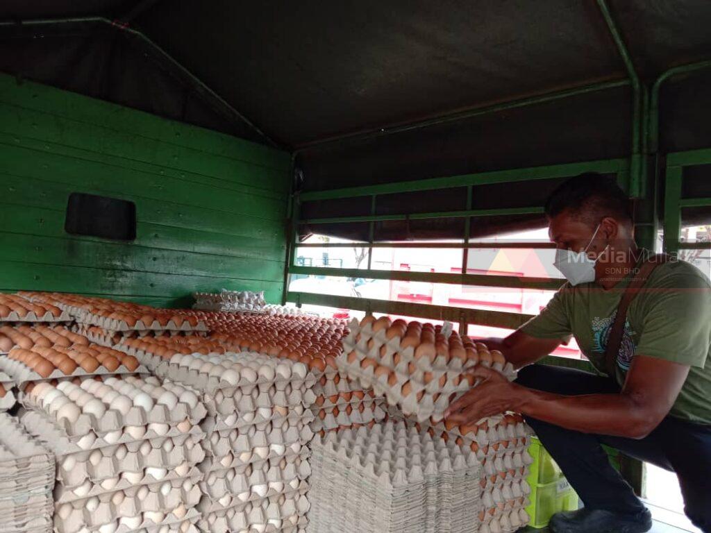 Bekalan telur kembali kurang di Pulau Pinang - Kosmo Digital