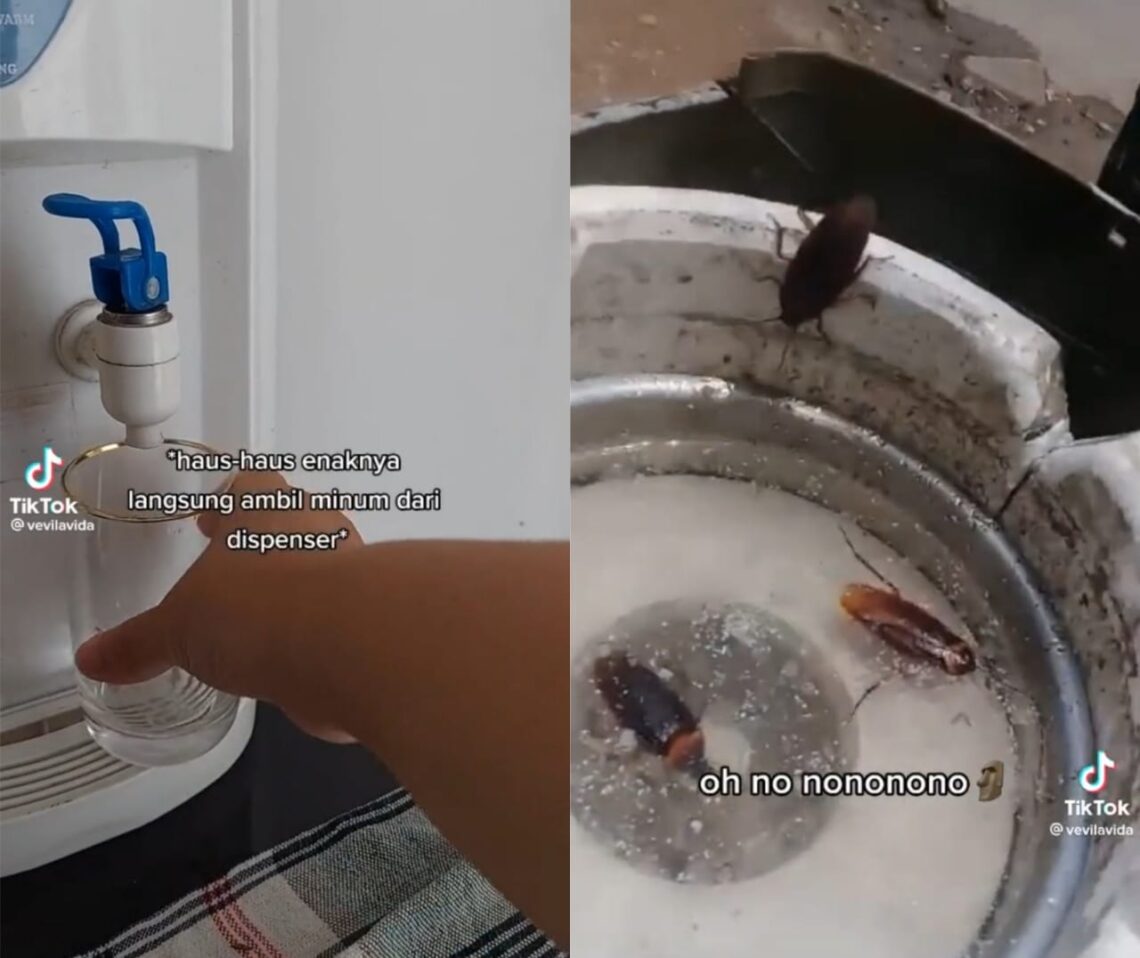 Rasa air berbeza ketika diminum, wanita temui sarang lipas dalam ...
