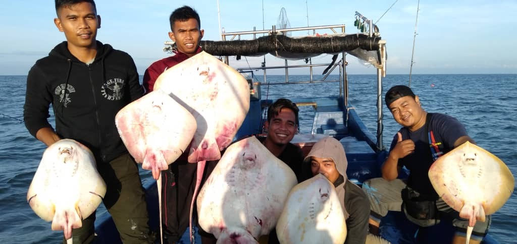 Penangan tumpaskan layaran seberat 30kg - Kosmo Digital