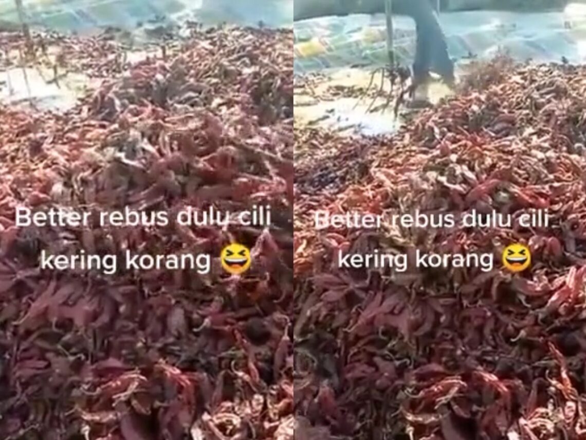 Cili kering sarang tikus - Kosmo Digital