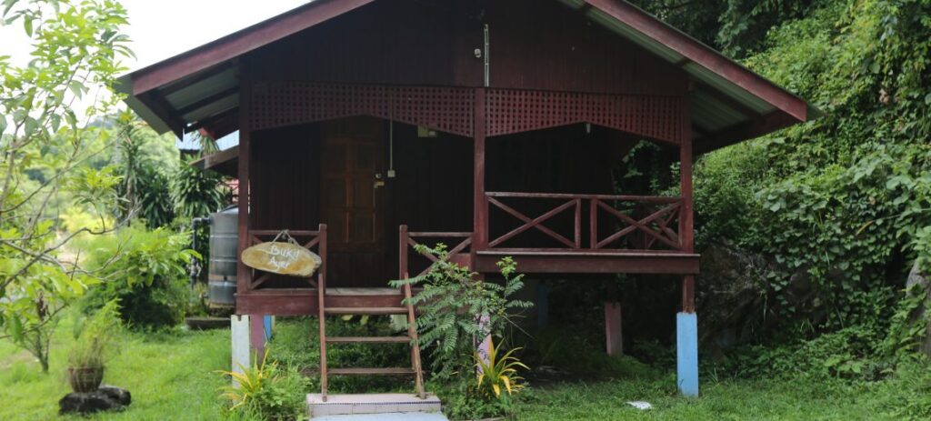 Kedamaian inap desa sawah padi - Kosmo Digital