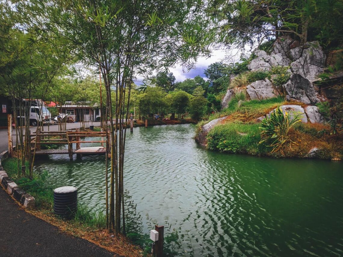 Kedamaian inap desa sawah padi - Kosmo Digital