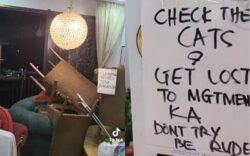 Diva AA marah dalam video, lain pula netizen jumpa - Kosmo Digital