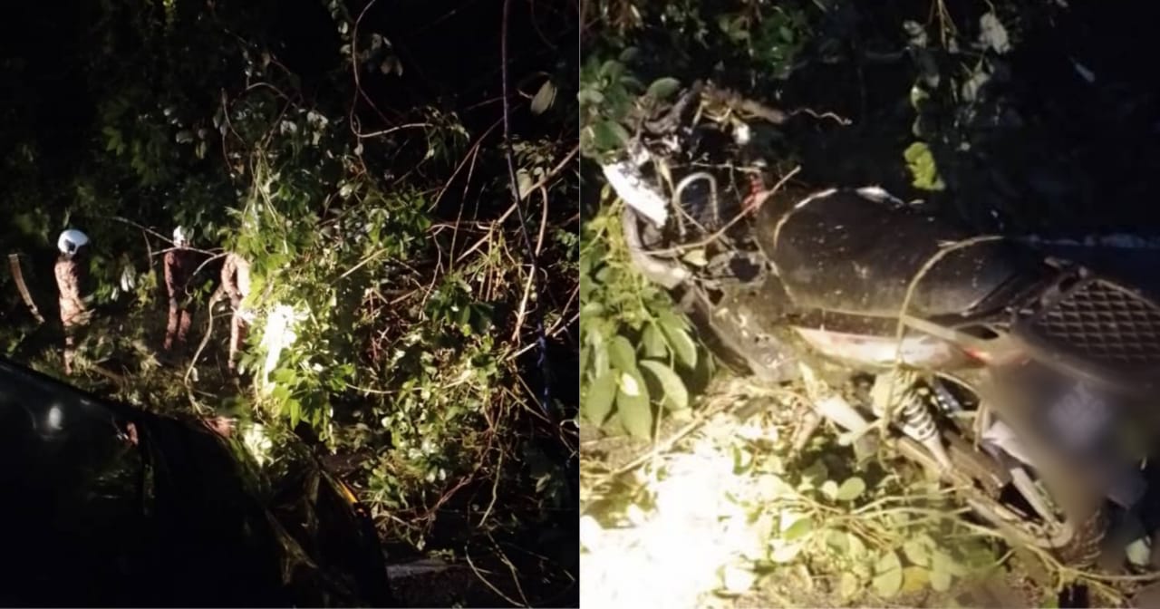Pemandu kereta nyaris maut dihempap pokok tumbang - Kosmo Digital