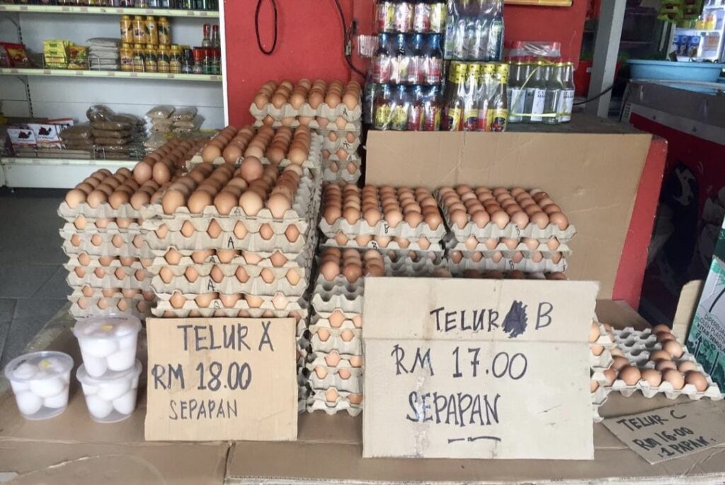 Telur banyak tapi harga melambung cecah RM18 sepapan - Kosmo Digital