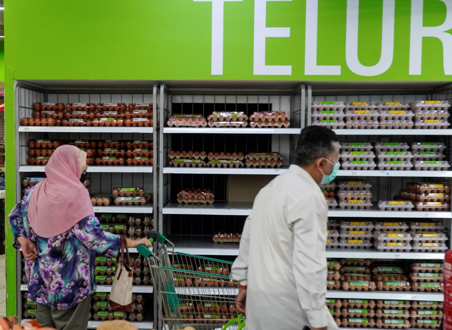 Jual ayam penelur punca bekalan telur tiada - Kosmo Digital