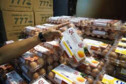 Telur ayam gred D, omega dijual lebih 50 sen sebiji - Kosmo Digital