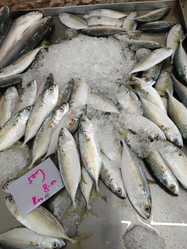 Ikan temenung tiba-tiba banyak di pasar - Kosmo Digital