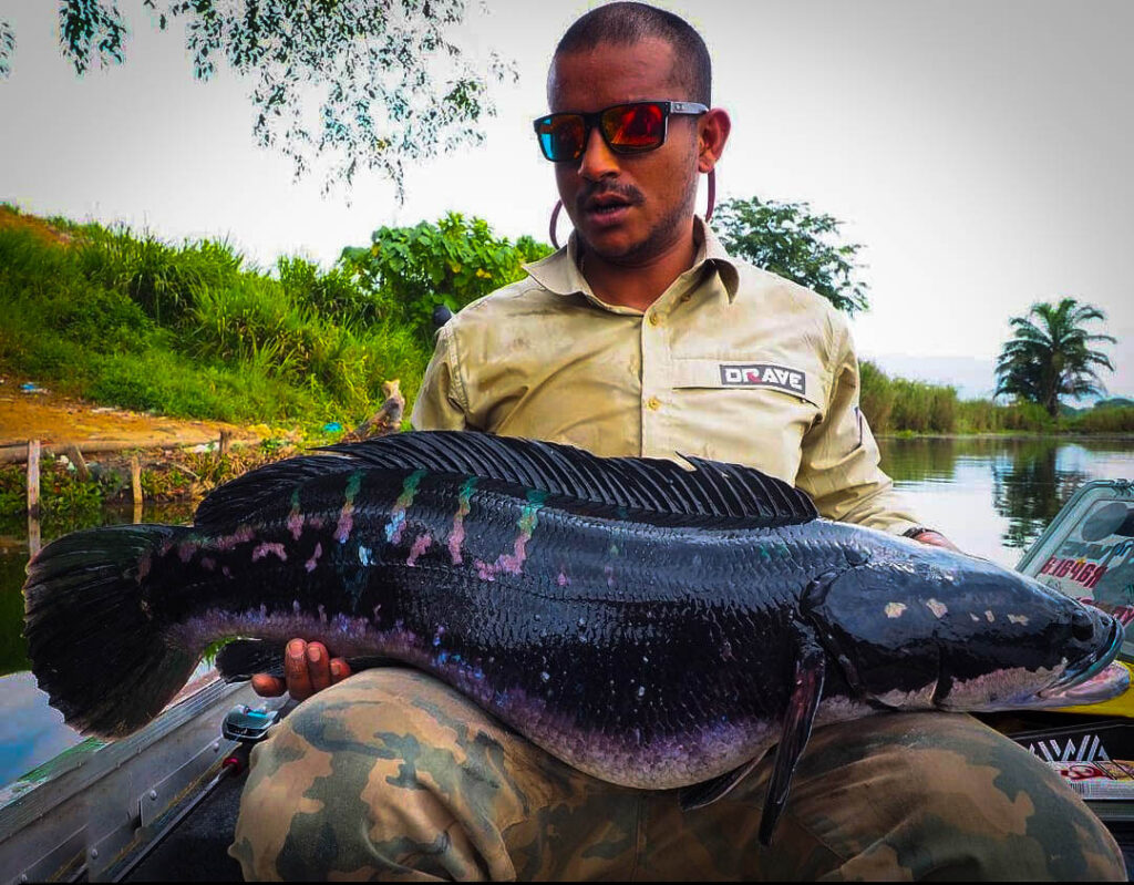 Toman rekod dunia, penutup tirai 2022 - Kosmo Digital