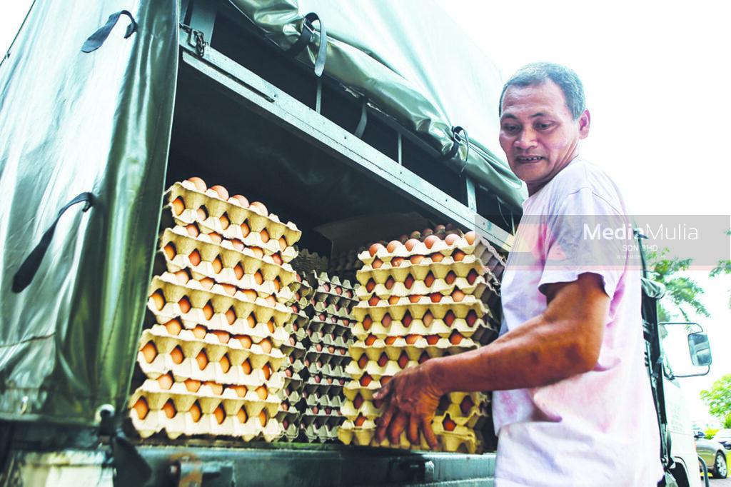 Bekalan telur, minyak peket masih kurang - Kosmo Digital