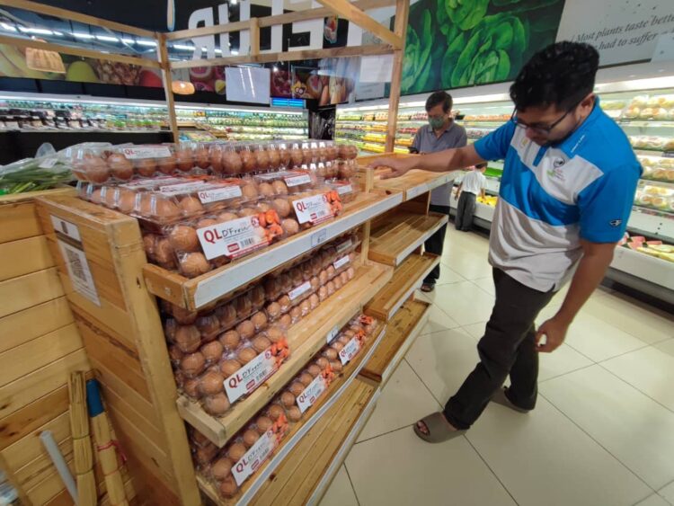 Susah nak cari telur ayam gred A di Pulau Pinang - Kosmo Digital