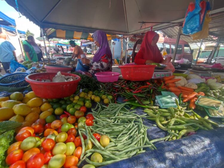 Sayur dari Cameron Highlands memang mahal - Kosmo Digital