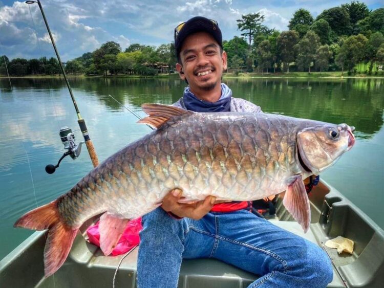 Buru ikan bersaiz jumbo guna umpan dedak khas - Kosmo Digital